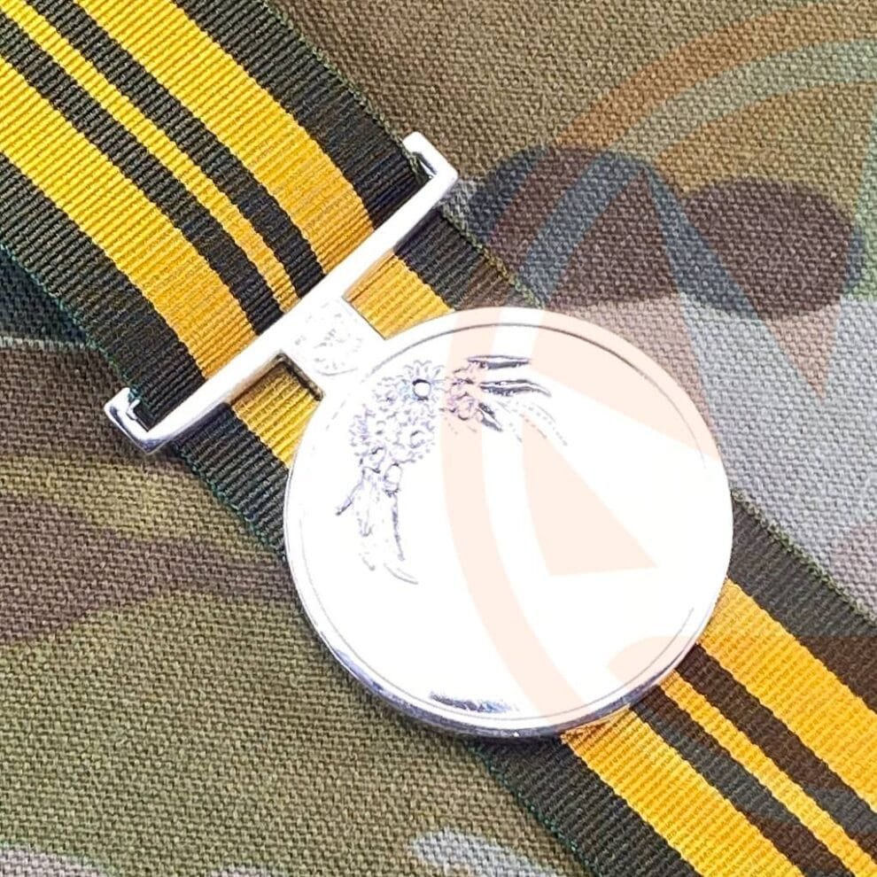 Community Service Medal CSM-C – Gongs: Honours and Awards